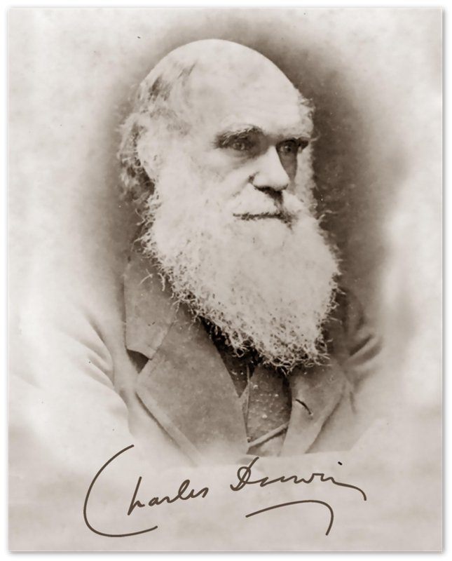 Affiche de Charles Darwin, photo vintage de la théorie de l'évolution