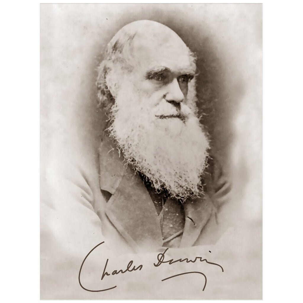 Affiche de Charles Darwin, photo vintage de la théorie de l'évolution