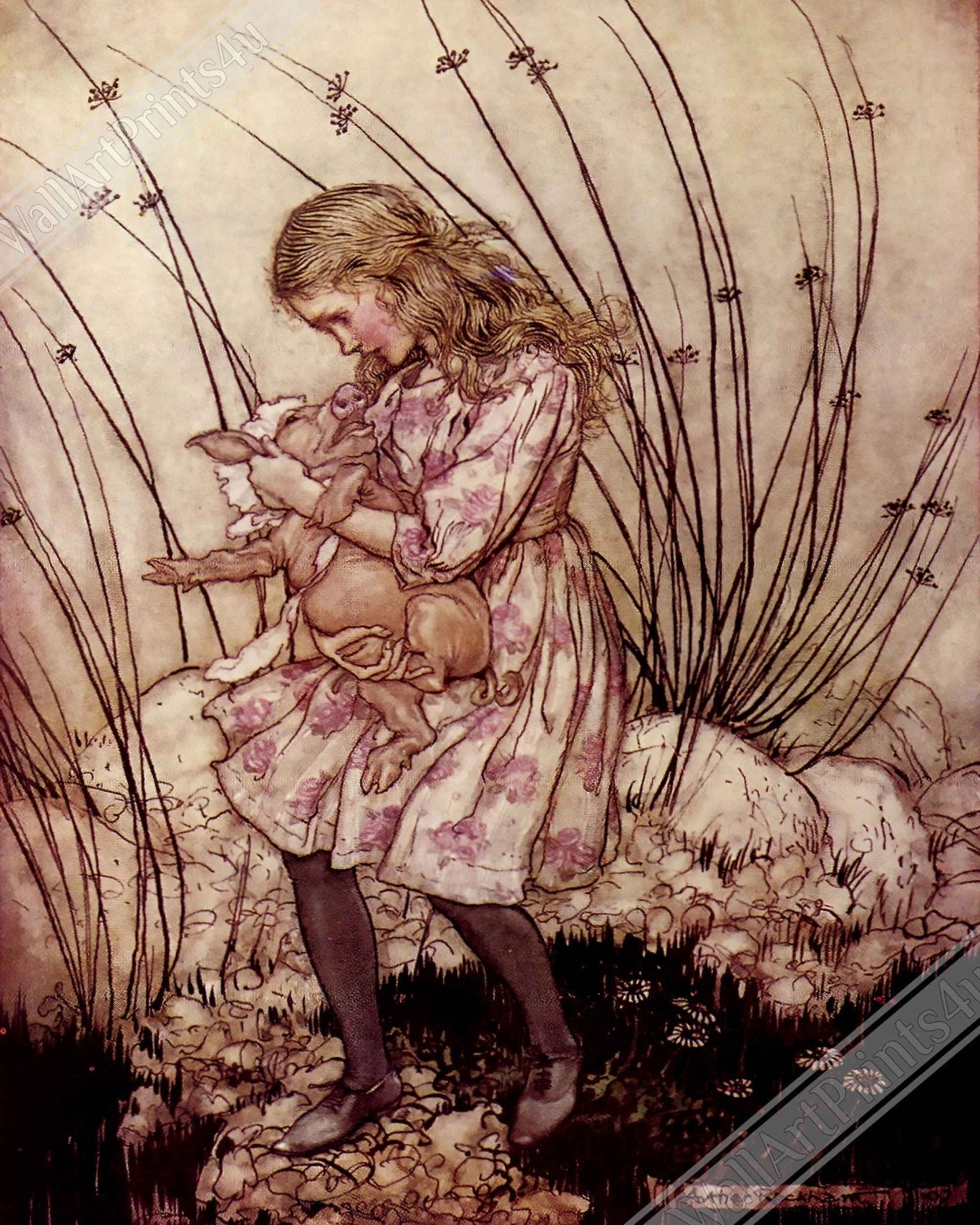 Arthur Rackhamalice Alice's Adventures In Wonderland 1907 Arthur